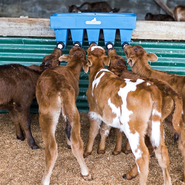 Datamars Livestock UK • Datamars Livestock