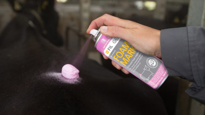 Pink Foam Marker • Datamars Livestock