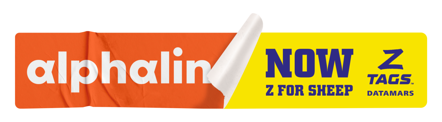 Z Tag Sheep EID Slaughter Tags • Datamars Livestock