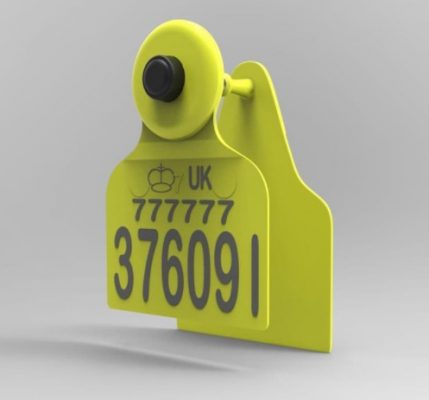 Z Tags Replacement Large Z2 Secondary EID HDX Tag • Datamars Livestock