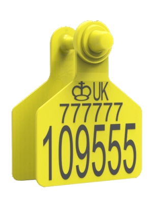 Z Tags Z2 Large Primary Cattle Tag • Datamars Livestock