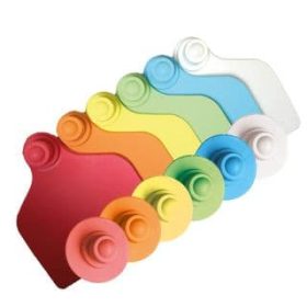 Flexa Management Tag • Datamars Livestock