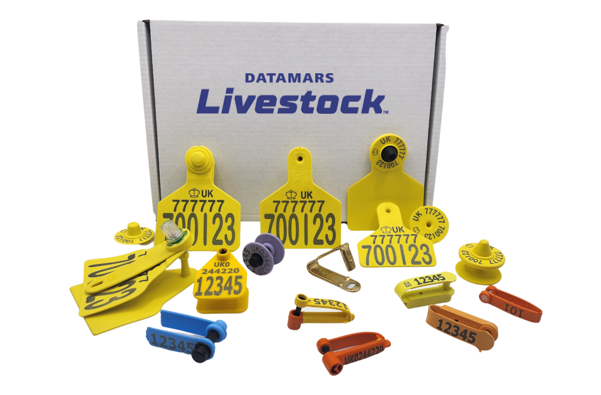Tags • Datamars Livestock